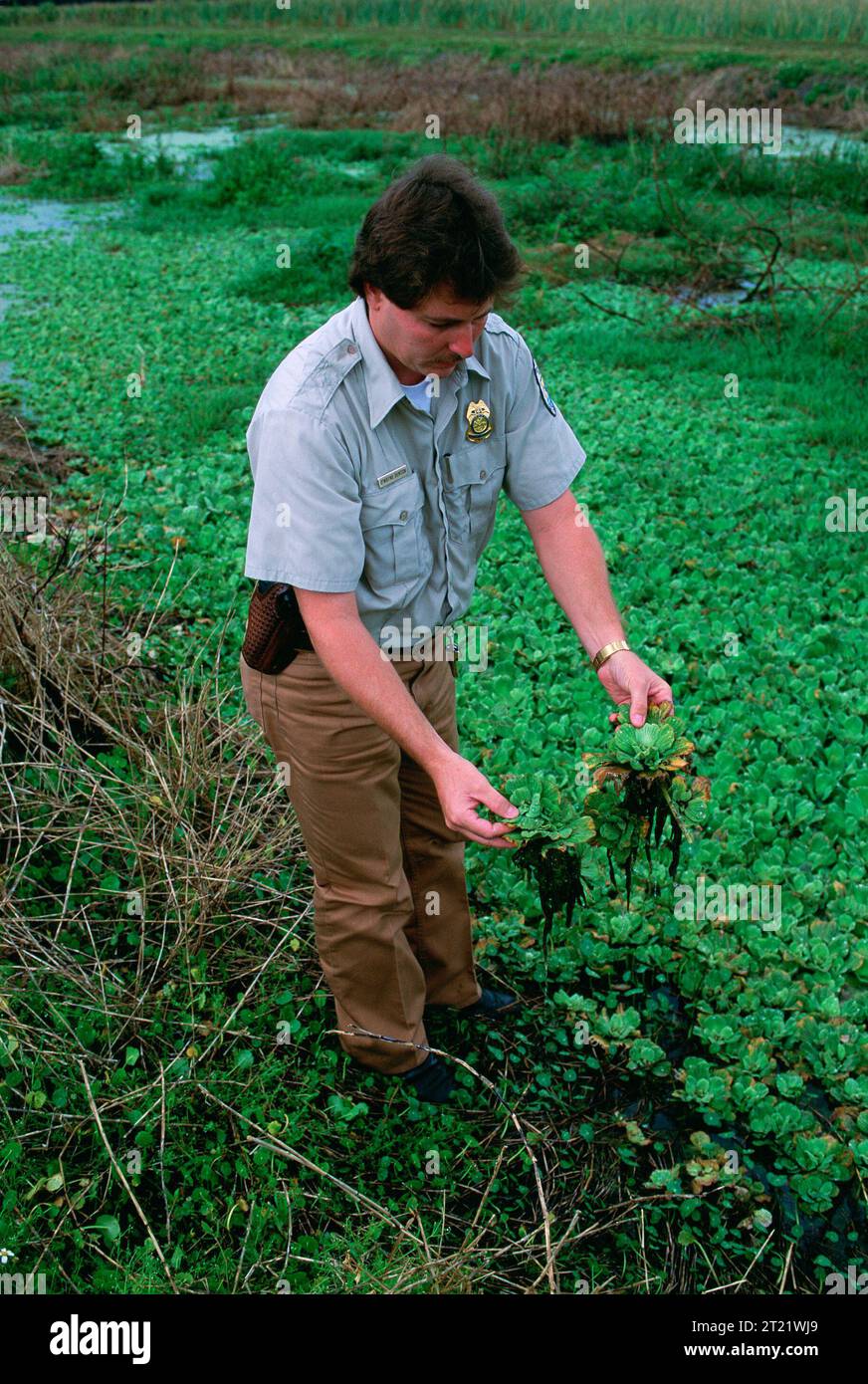 Fws employees hi-res stock photography and images - Alamy