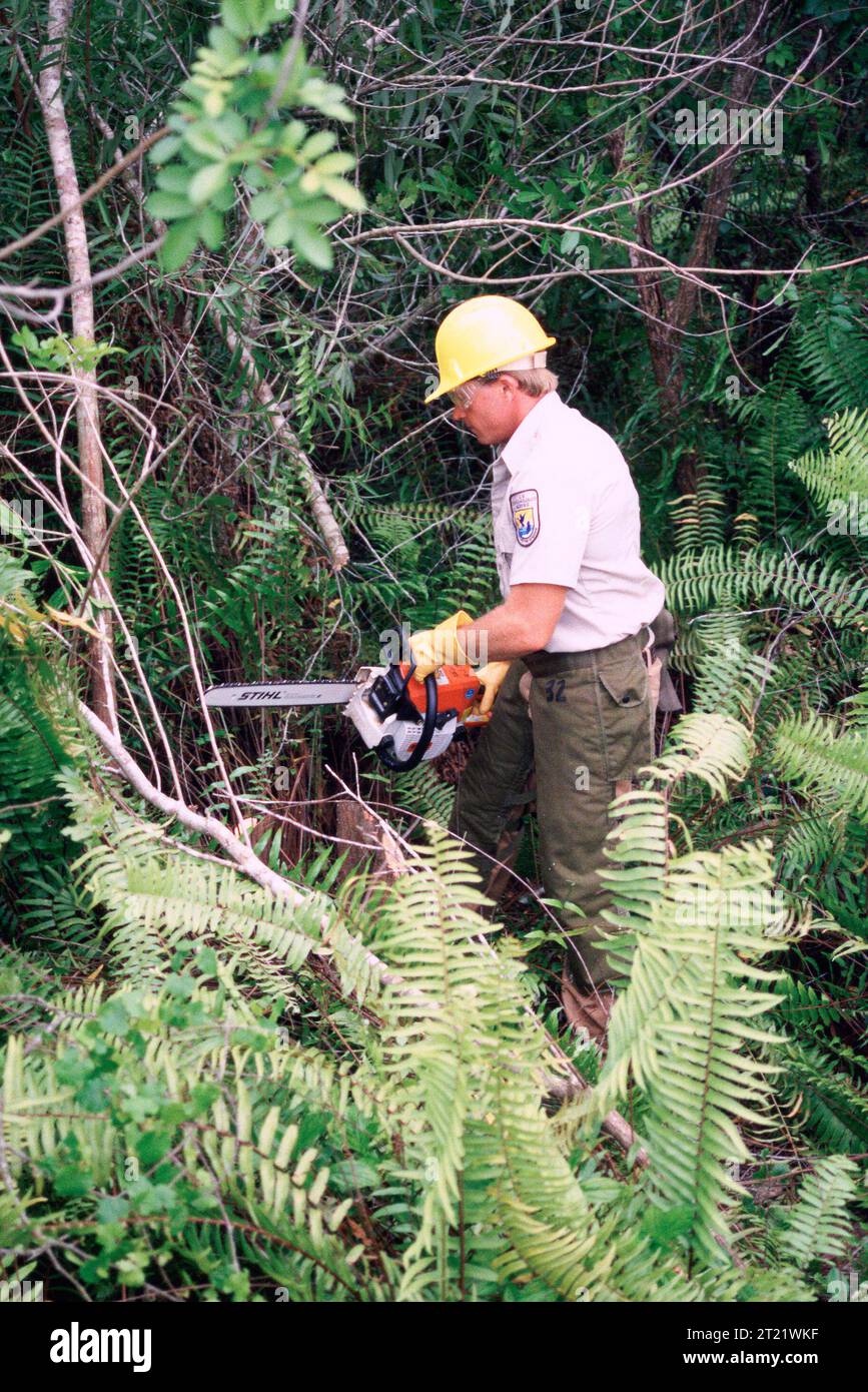 Fish and Wildlife Service employee chain sawing to control exotic ...
