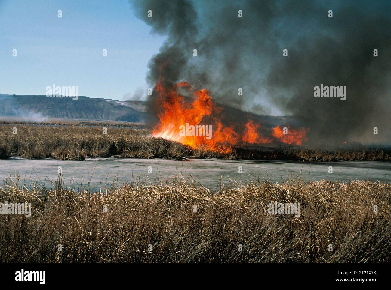 Maintenance resource management hi-res stock photography and images - Alamy