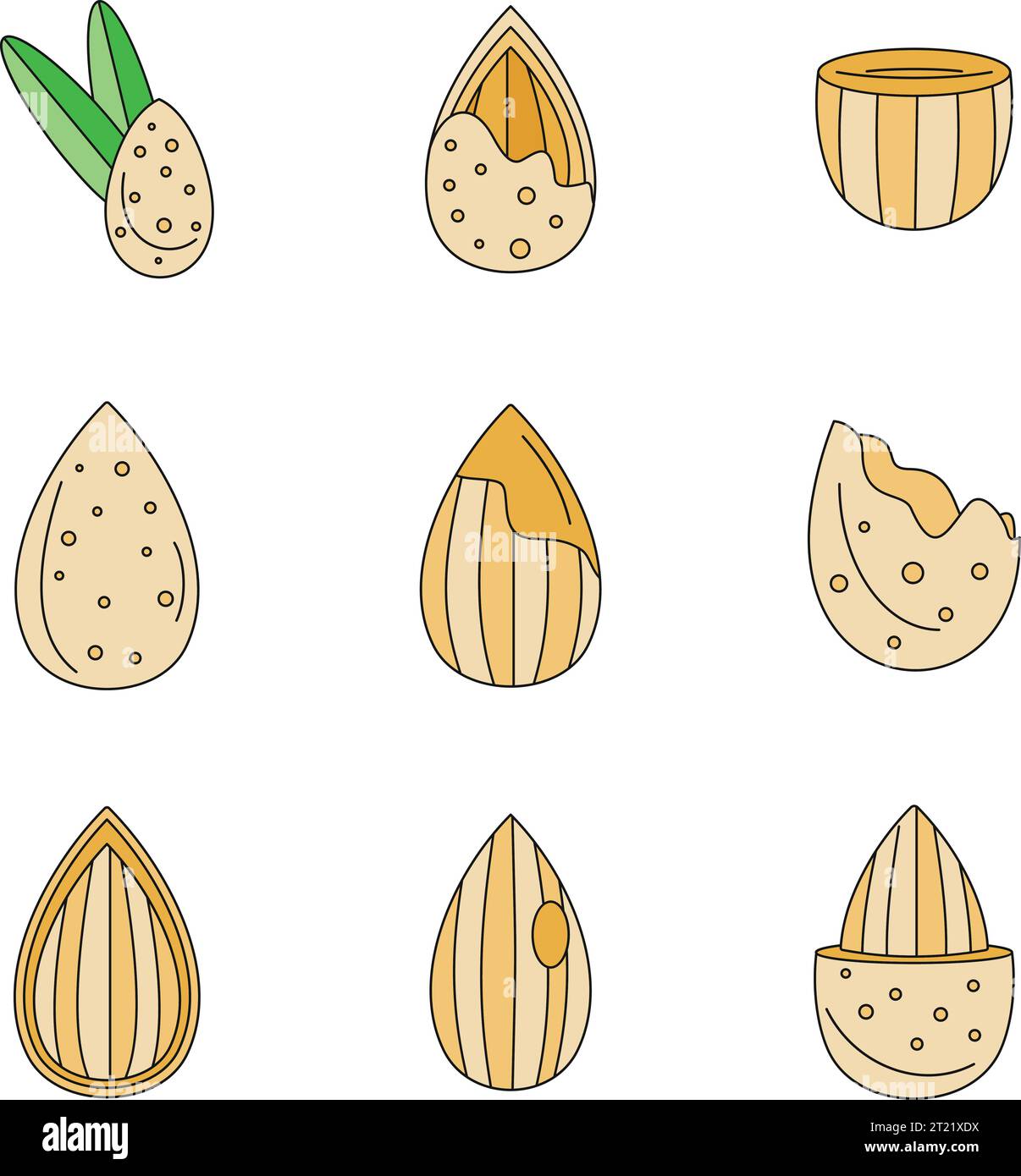 Almond walnut oil seed icons set. Outline illustration of 9 almond ...