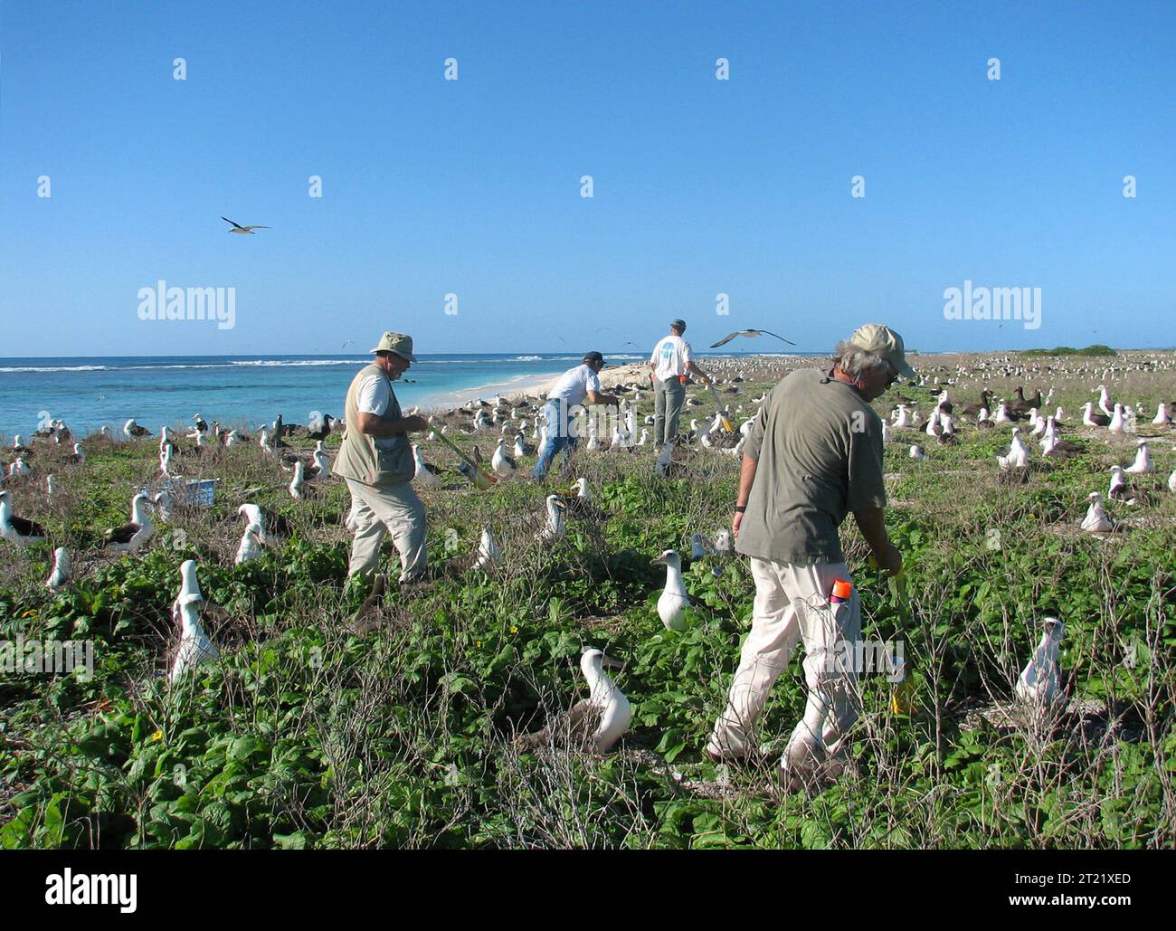Marine plot hi-res stock photography and images - Alamy