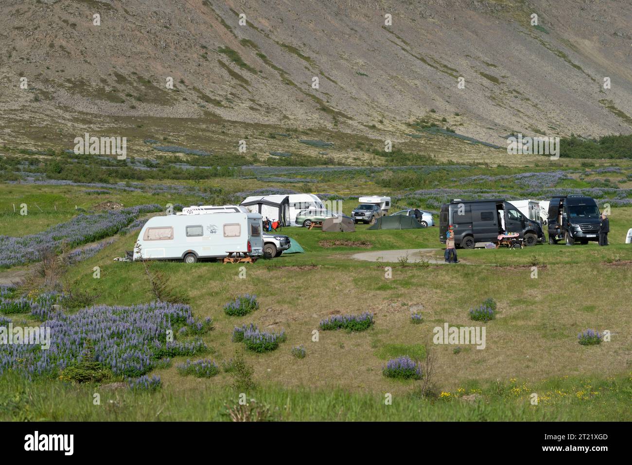 Celand campground hi-res stock photography and images - Alamy