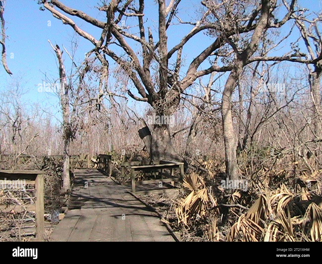 Hurricane Katrina delivers damage to the Ridge Trail and the rest of ...