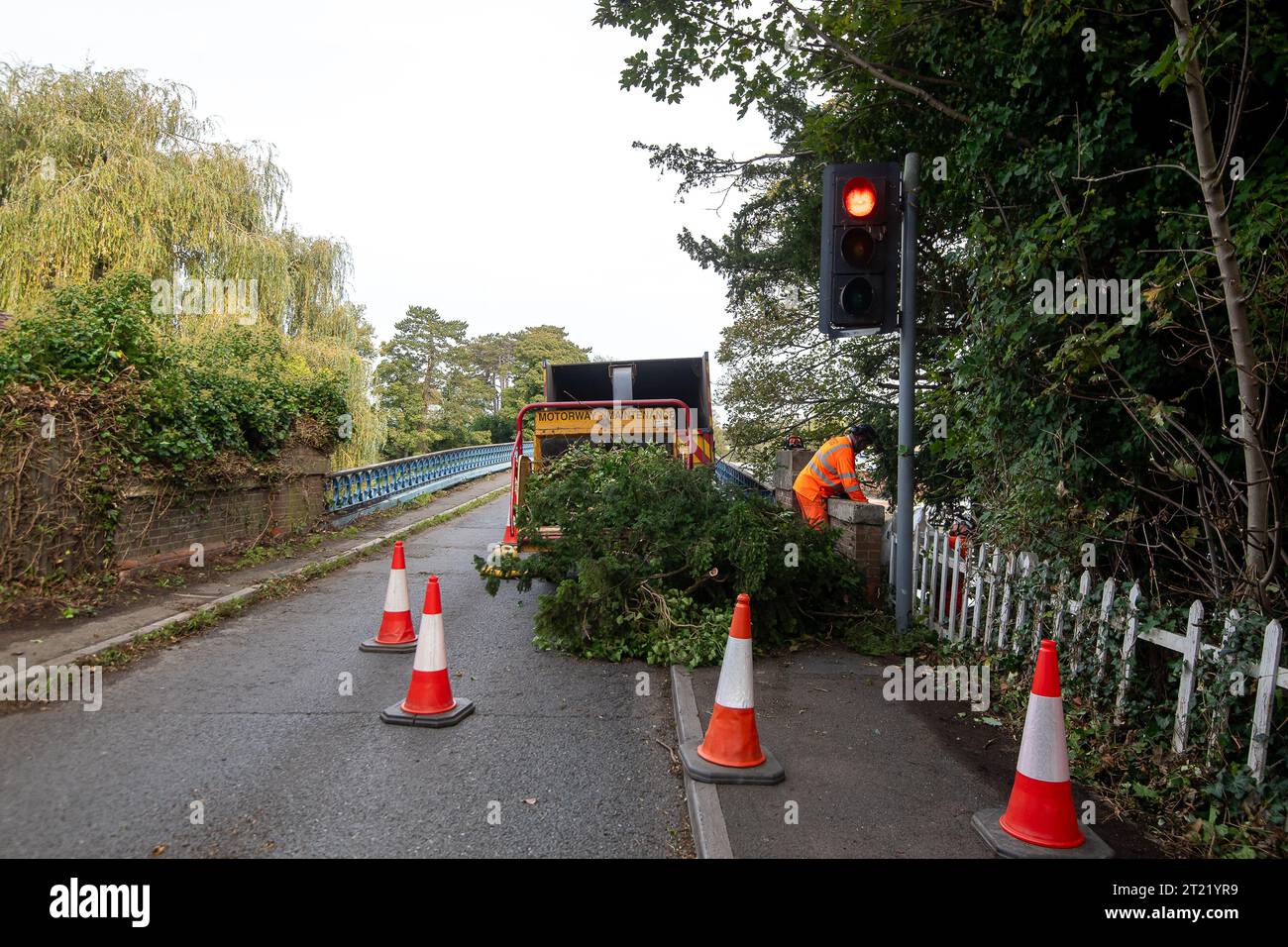 Cookham, UK. 16th October, 2023. Contractors cutting down ivy and tree ...