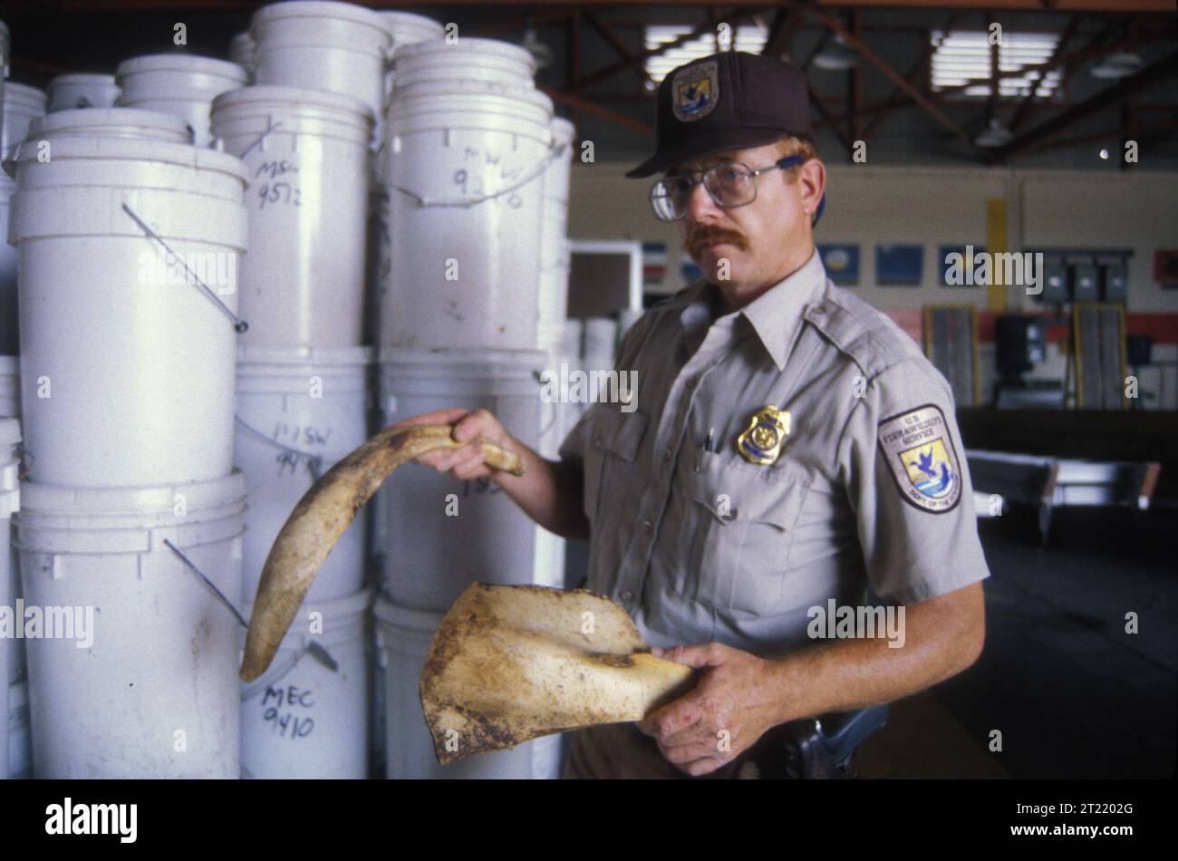 Law enforcement officer holds hi-res stock photography and images - Alamy