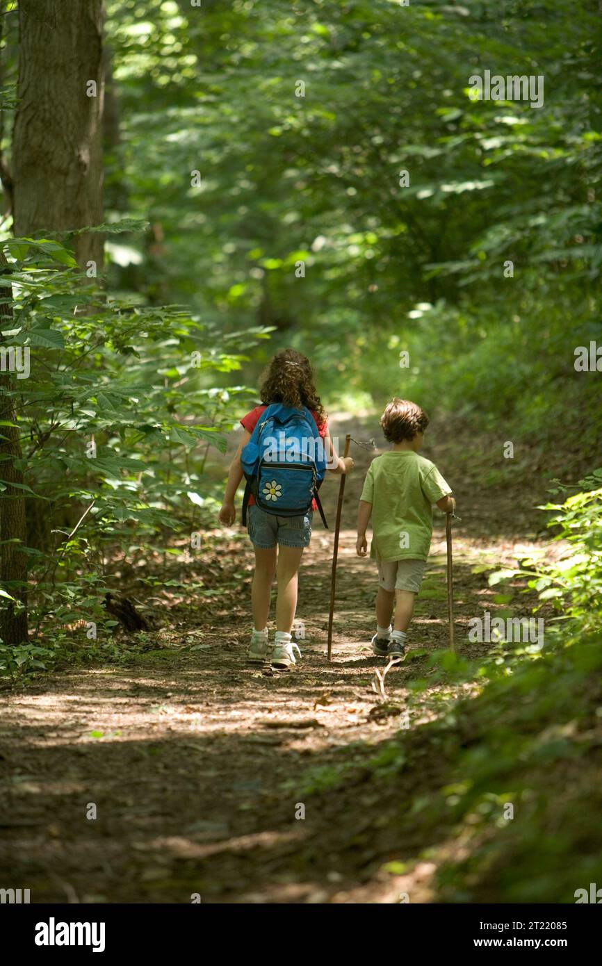 Two children enjoy a nice hike in the woods. Subjects: Wildlife refuges ...