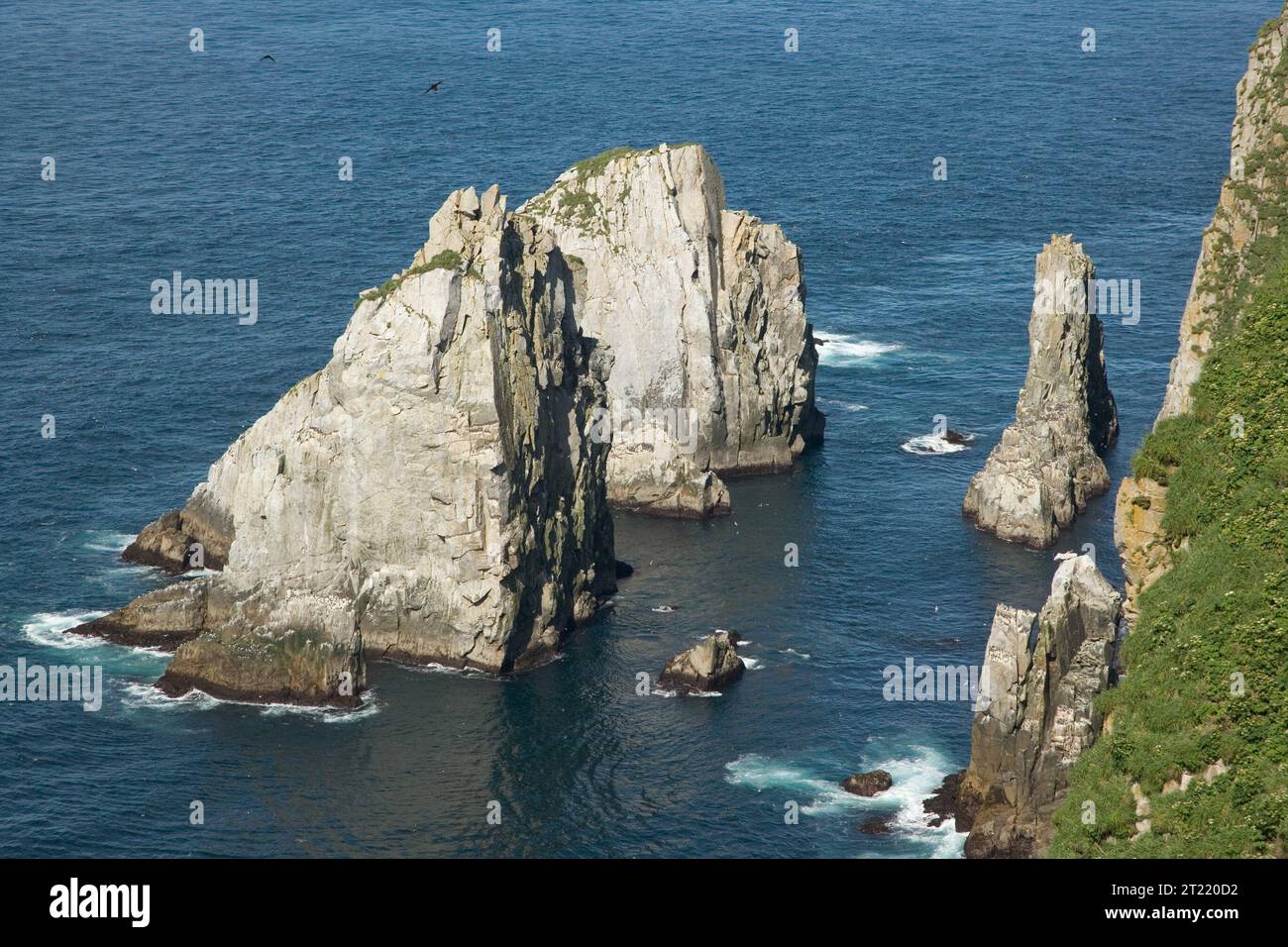 38899. Subjects: Alaska Maritime National Wildlife Refuge; AMNWR; Birds ...
