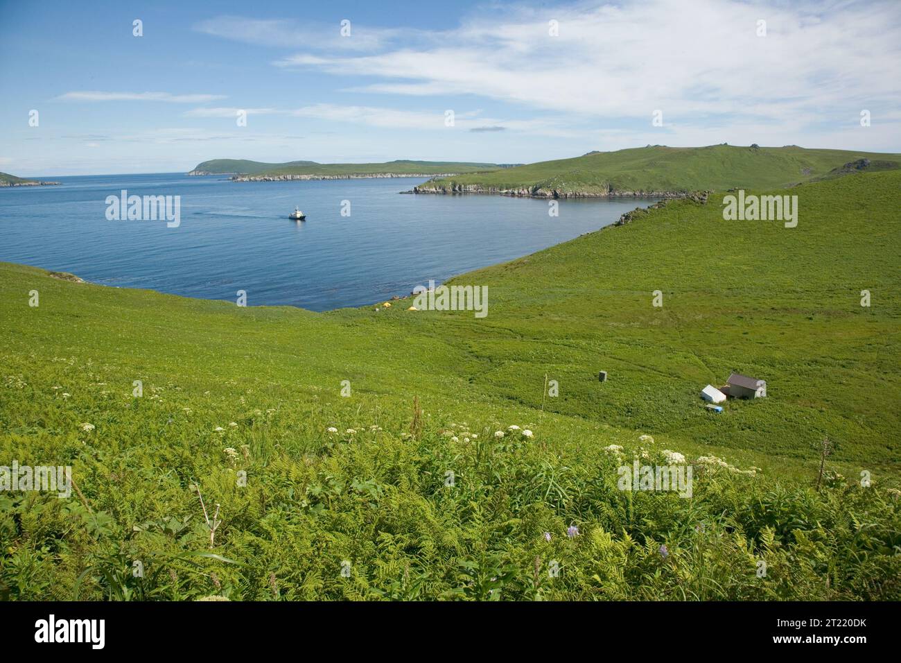 38899. Subjects: Alaska Maritime National Wildlife Refuge; AMNWR; Birds ...