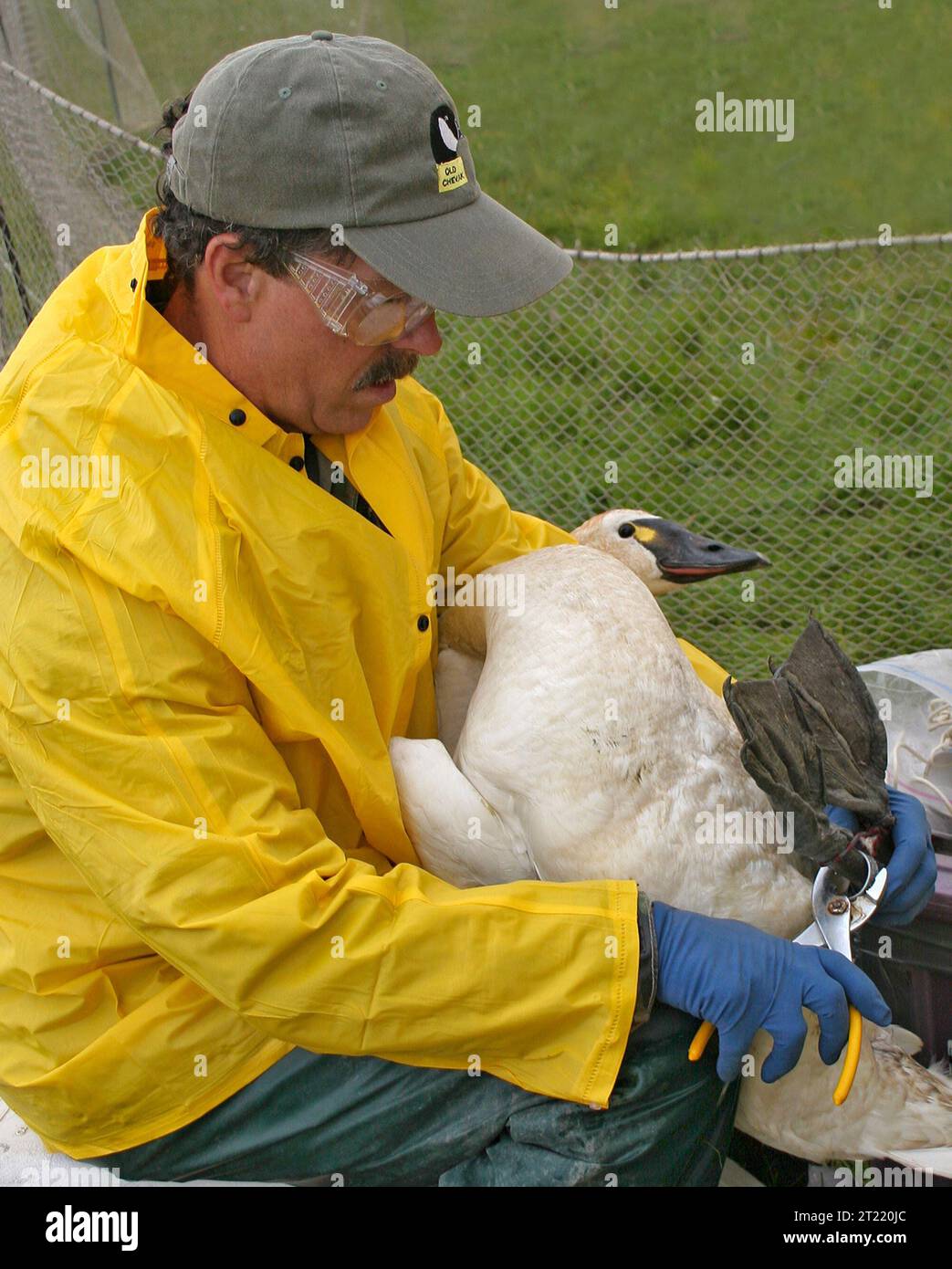 Craig ely hi-res stock photography and images - Alamy