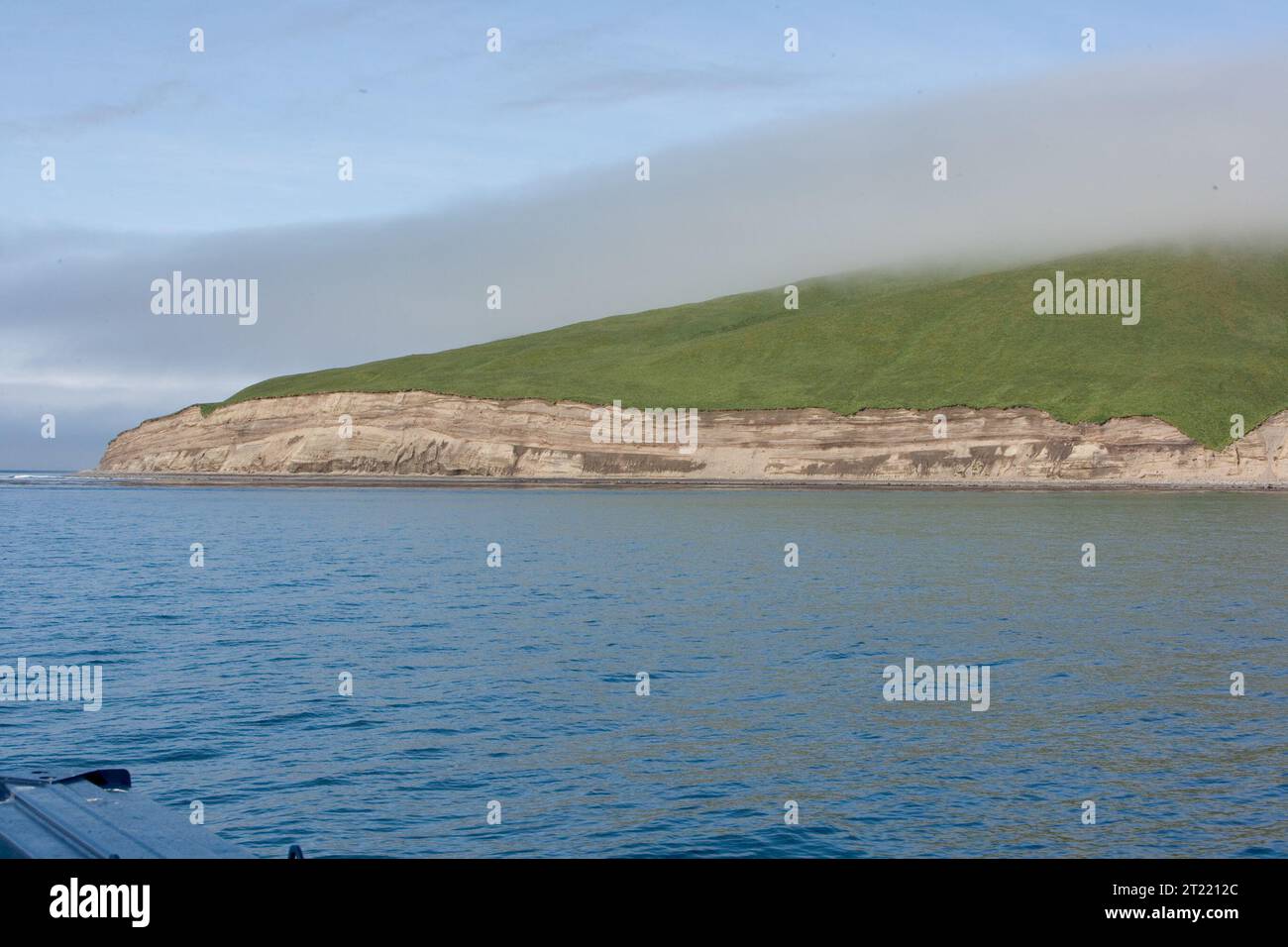 Work of the refuge marine birds hi-res stock photography and images - Alamy