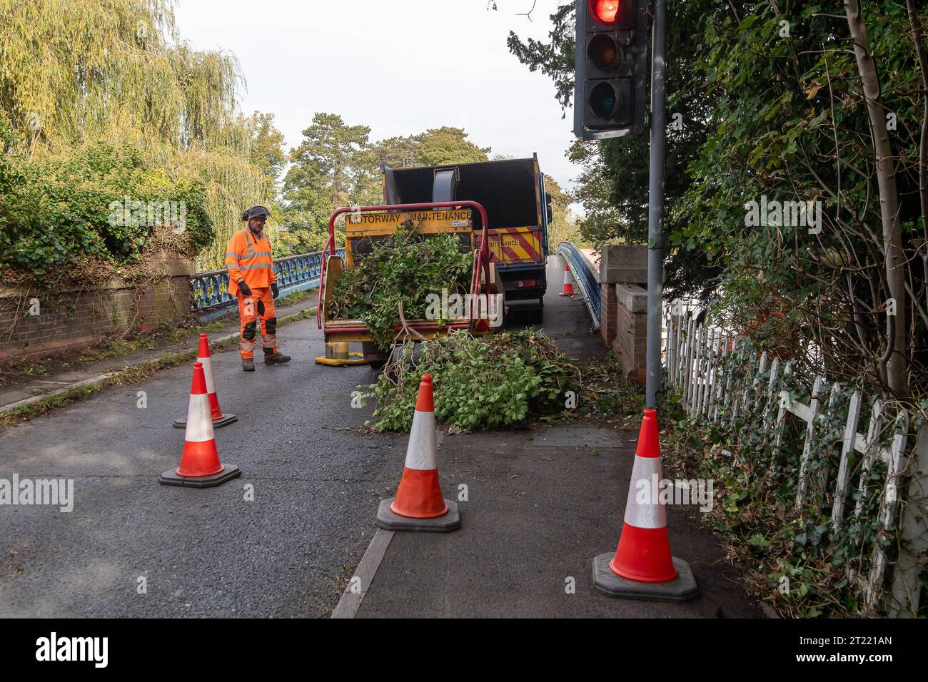 Cookham, UK. 16th October, 2023. Contractors cutting down ivy and tree ...