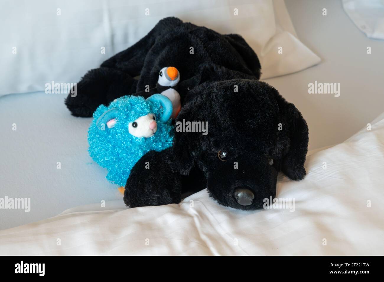 Adorable black labrador dog, blue lamb and puffin stuffed animals ...