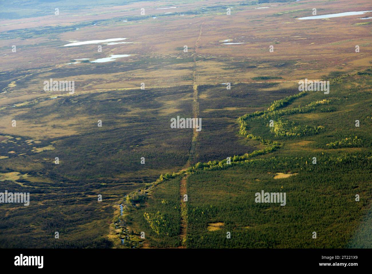 The old winter road on Kanuti National Wildlife Refuge, showing areas ...