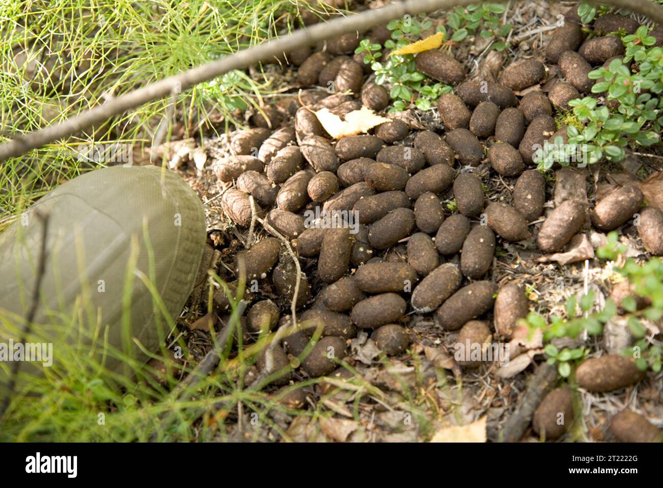 2006. Subjects: Kanuti National Wildlife Refuge; Recreation; Tourism ...