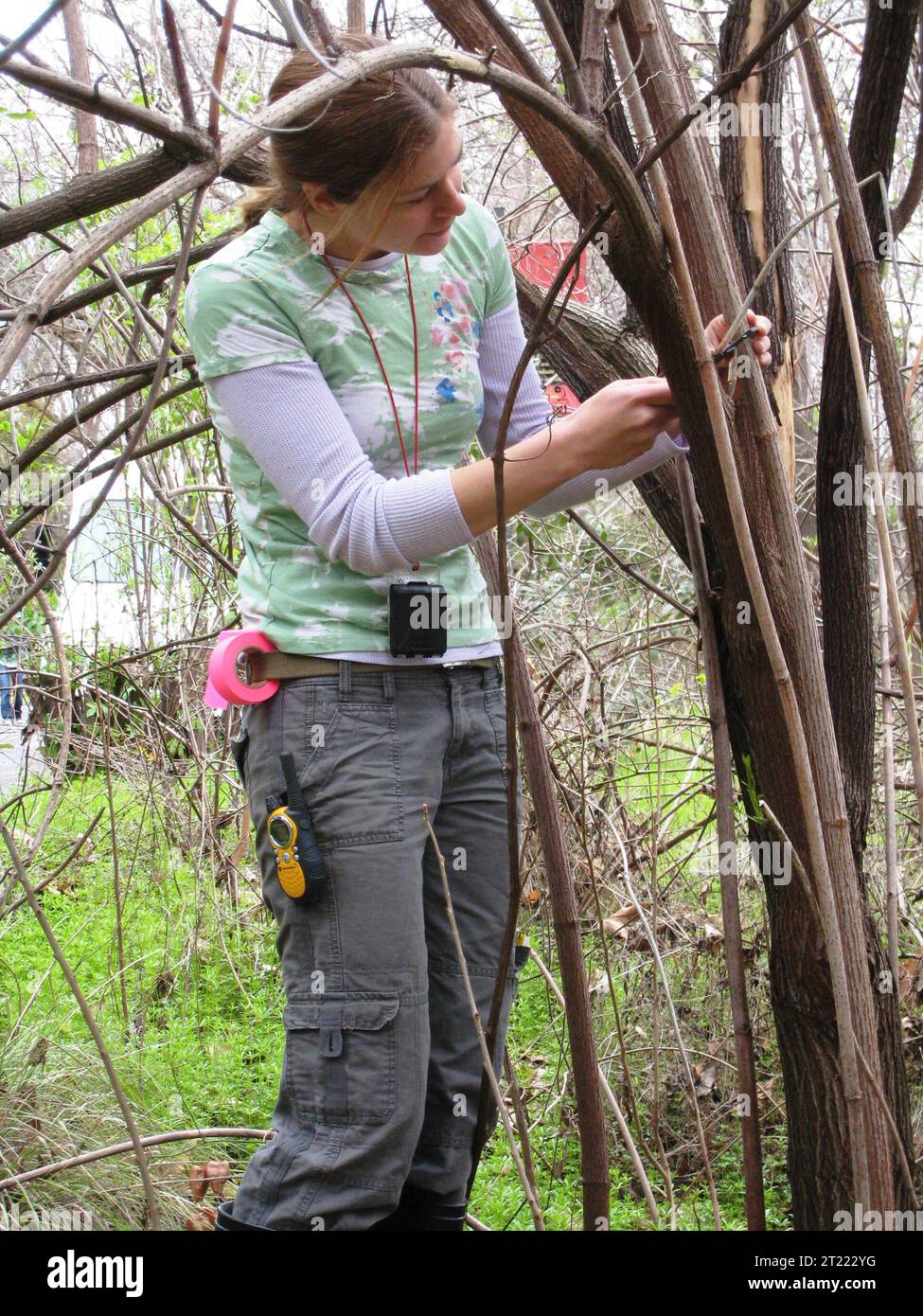 Sacramento river nwr hi-res stock photography and images - Alamy