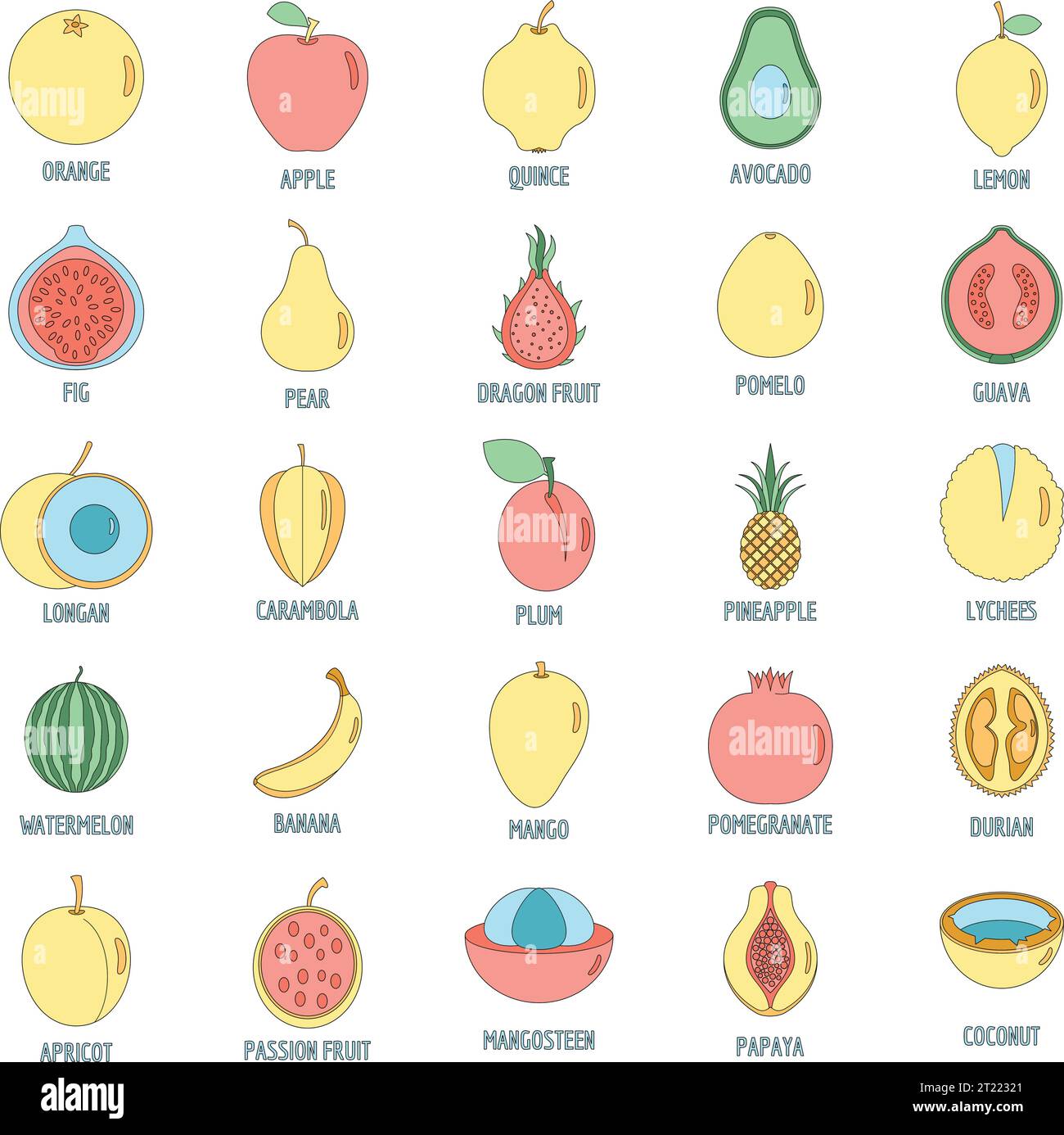 Fruits icons set. Outline illustration of 25 fruits vector icons thin ...