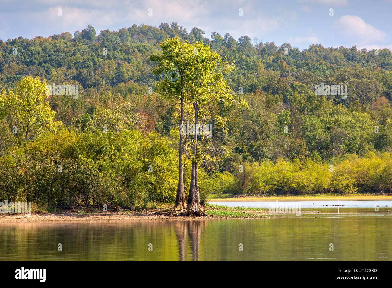 Autumn on the Tennessee River south of New Johnsonville, Tennessee. At ...