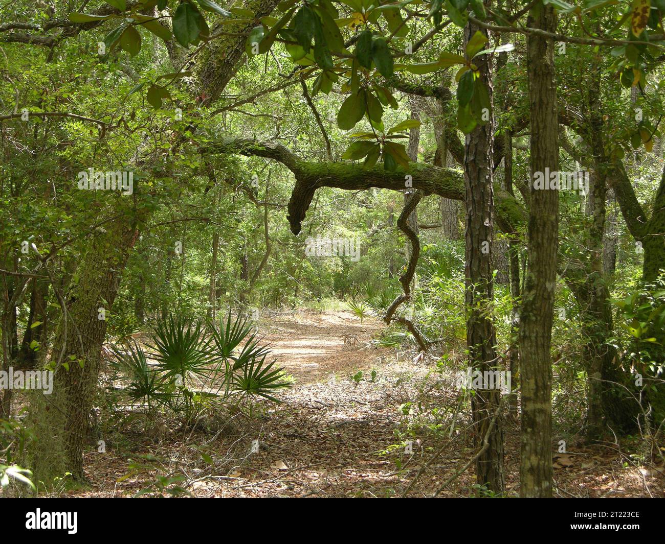 Explore various types hi-res stock photography and images - Alamy