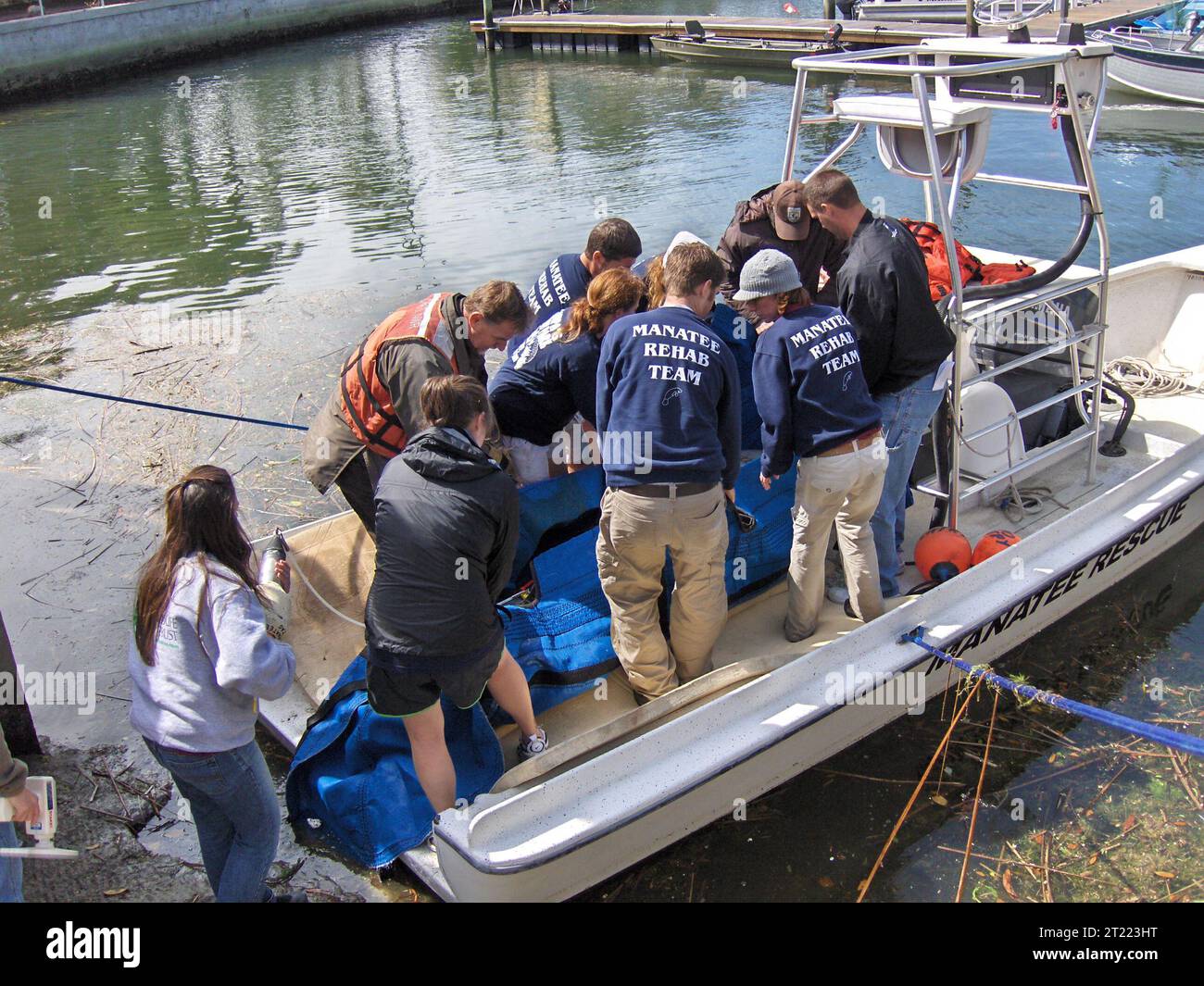 Manatee rescue. Subjects: Mammals; Endangered species. Location ...