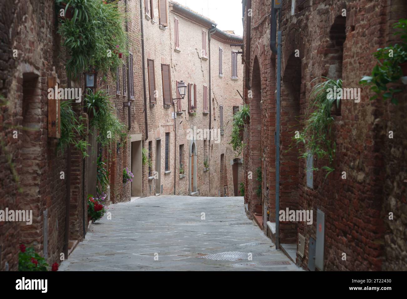 Torrita di Siena, historic town in Tuscany, Italy Stock Photo - Alamy