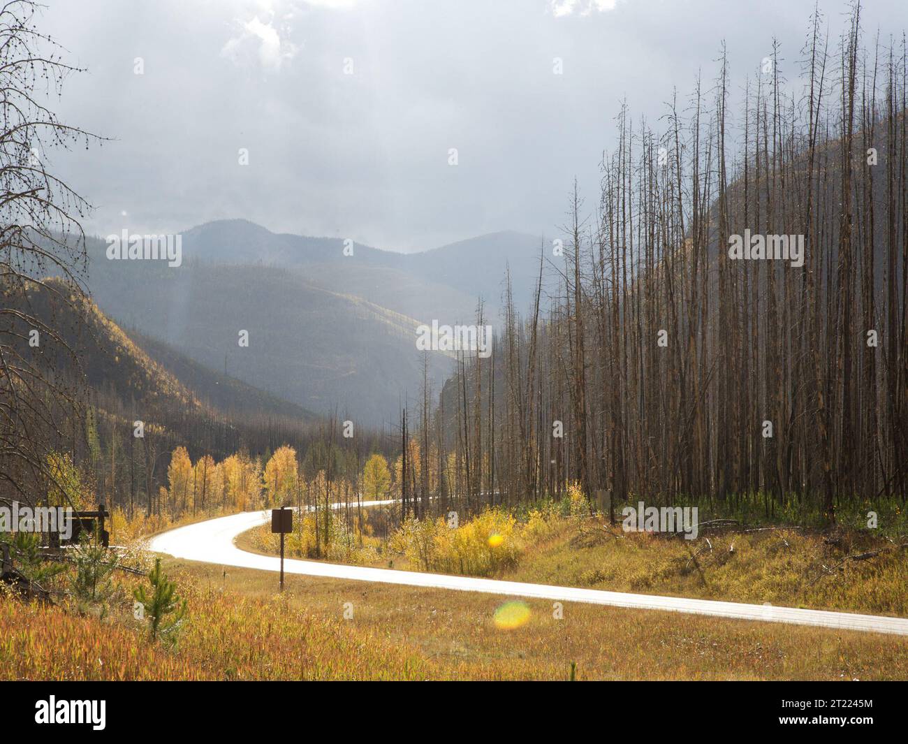 Stretch scenic highway winds hi-res stock photography and images - Alamy