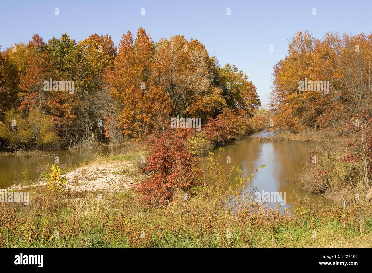 Small earth dam with brush growing on it and autumn trees between two ...