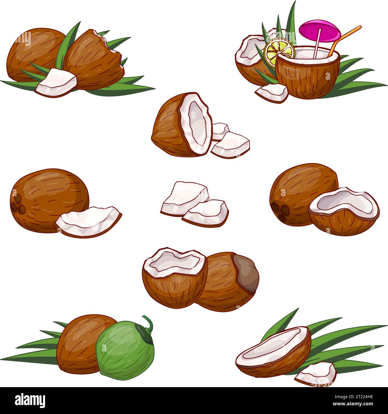 Coconut icons set cartoon vector. Coco leaf palm. Food fruit Stock ...