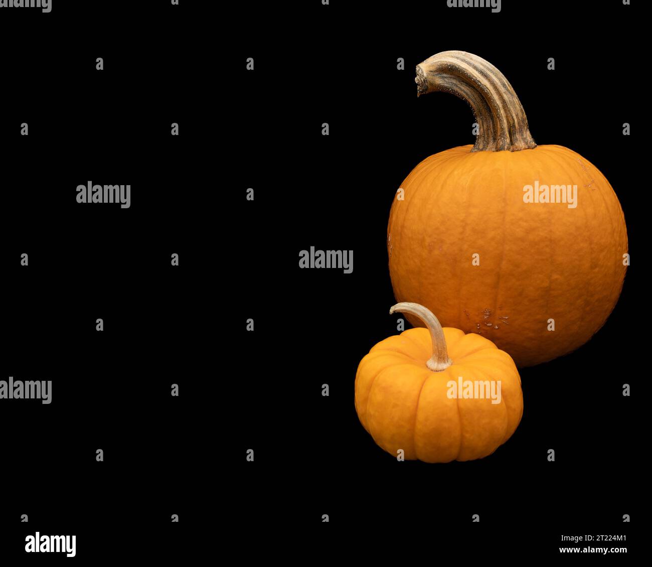 little and medium pumpkin on black background Stock Photo - Alamy