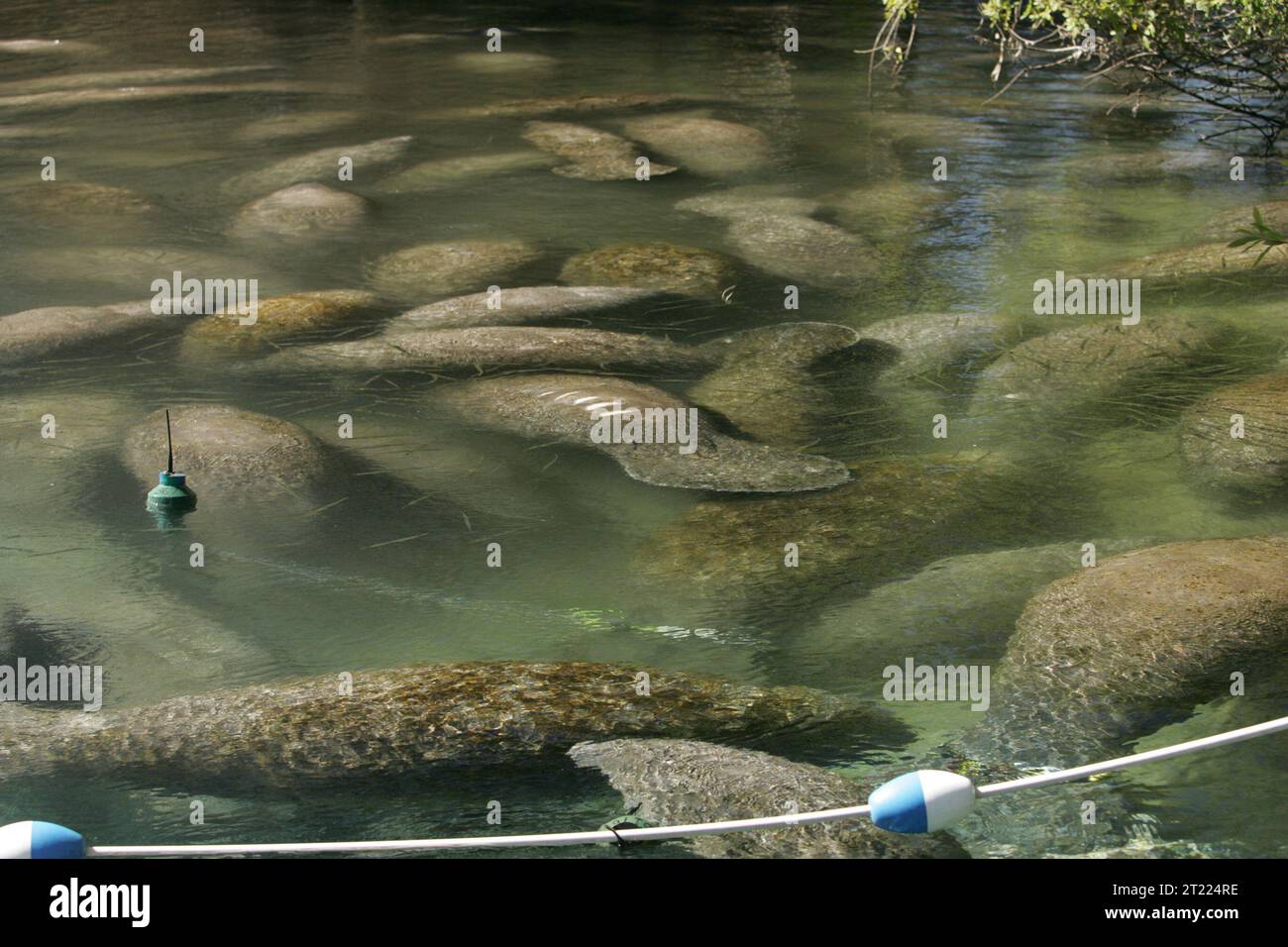 Estuarine environments hi-res stock photography and images - Alamy