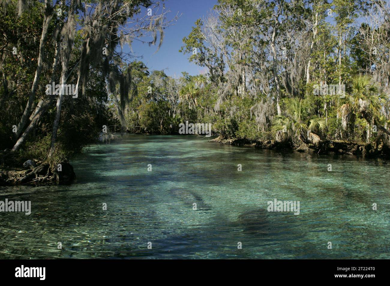 Estuarine environments hi-res stock photography and images - Alamy