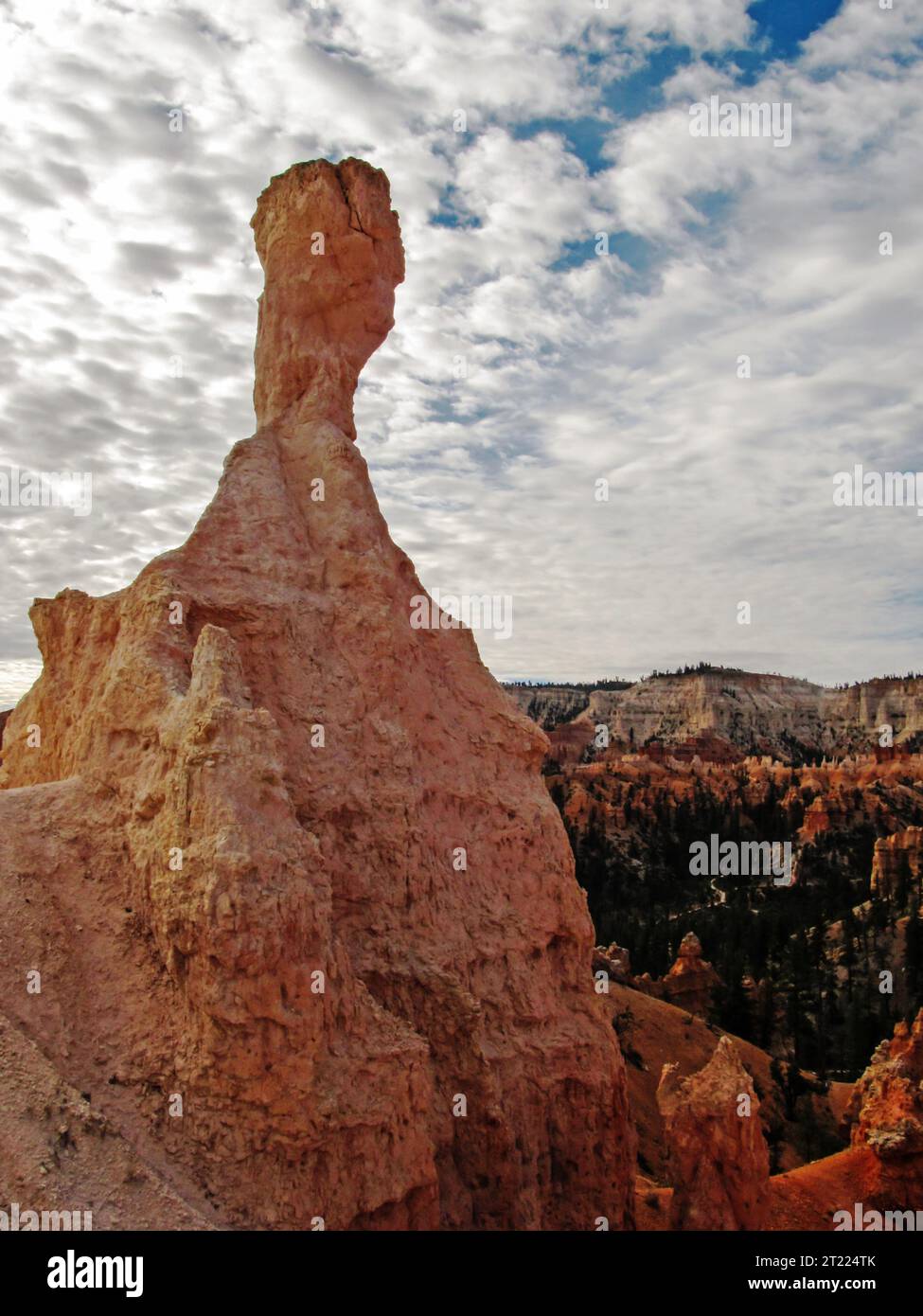 The weathered Limestone Hoodoo, for which the Queens Garden were ...