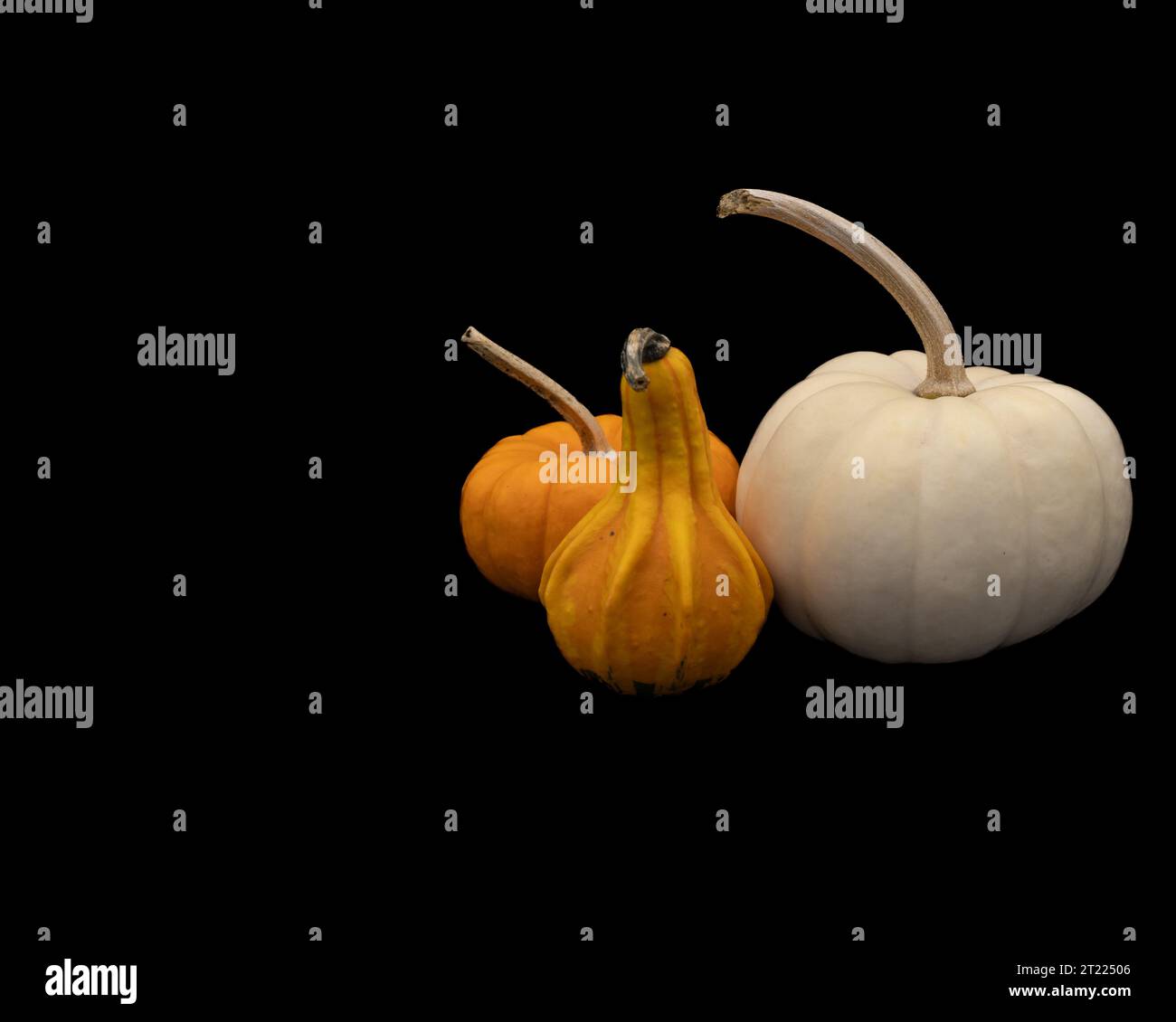 Tiny gourd background image hi-res stock photography and images - Alamy