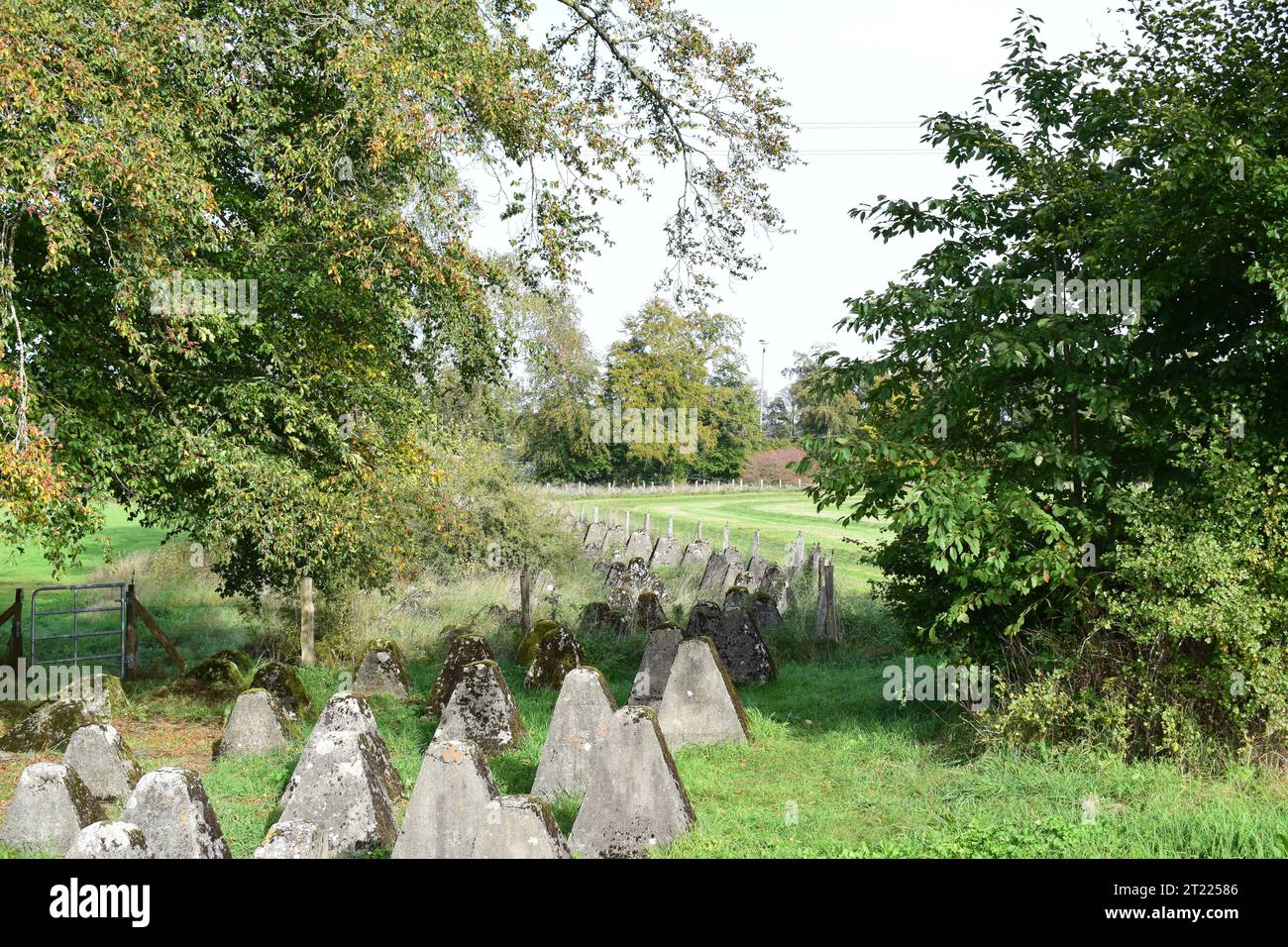 Westwall Anti-Tank Barriers from WW2 Stock Photo - Alamy