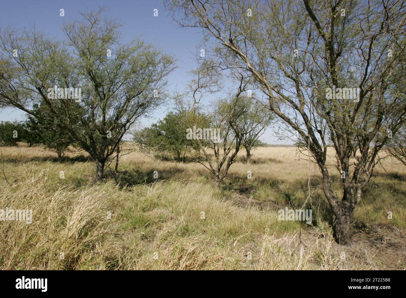 Refuge employee and visitor. Subjects: Wildlife refuges; Employees ...