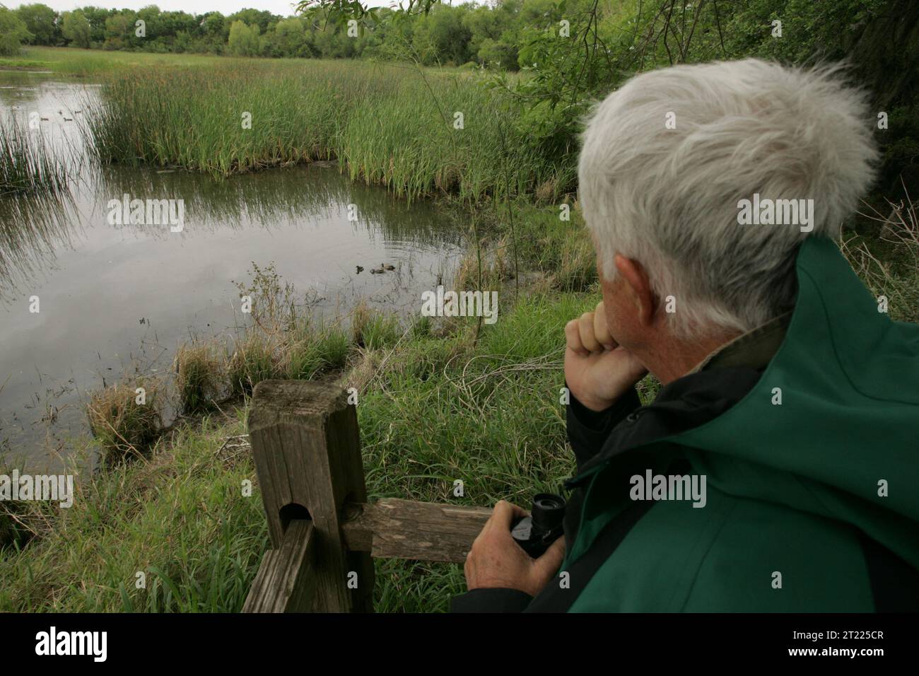 Birdwatching experience hi-res stock photography and images - Alamy