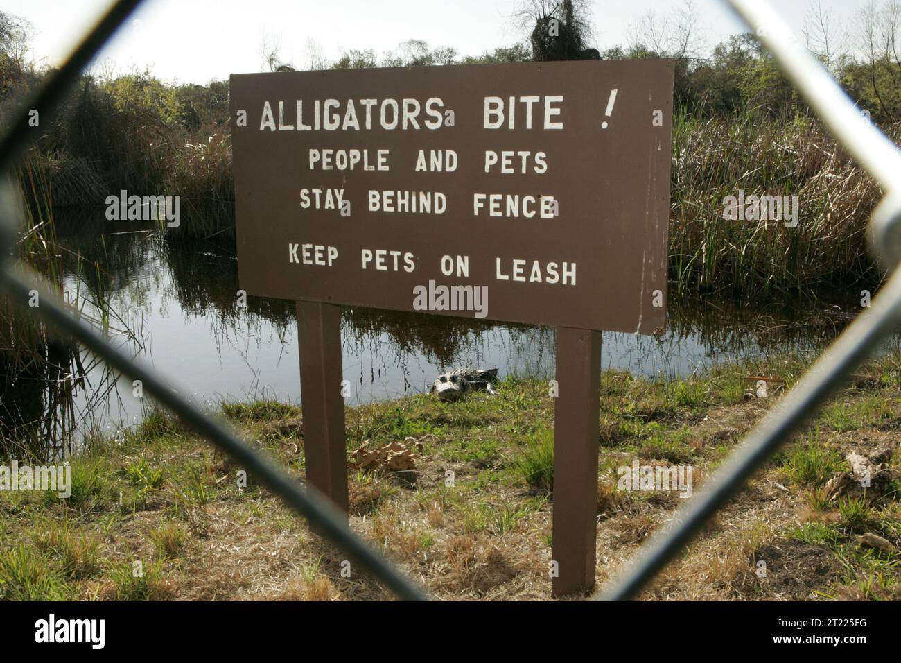 Is the alligator waiting to see if anyone ignores the sign?. Subjects ...