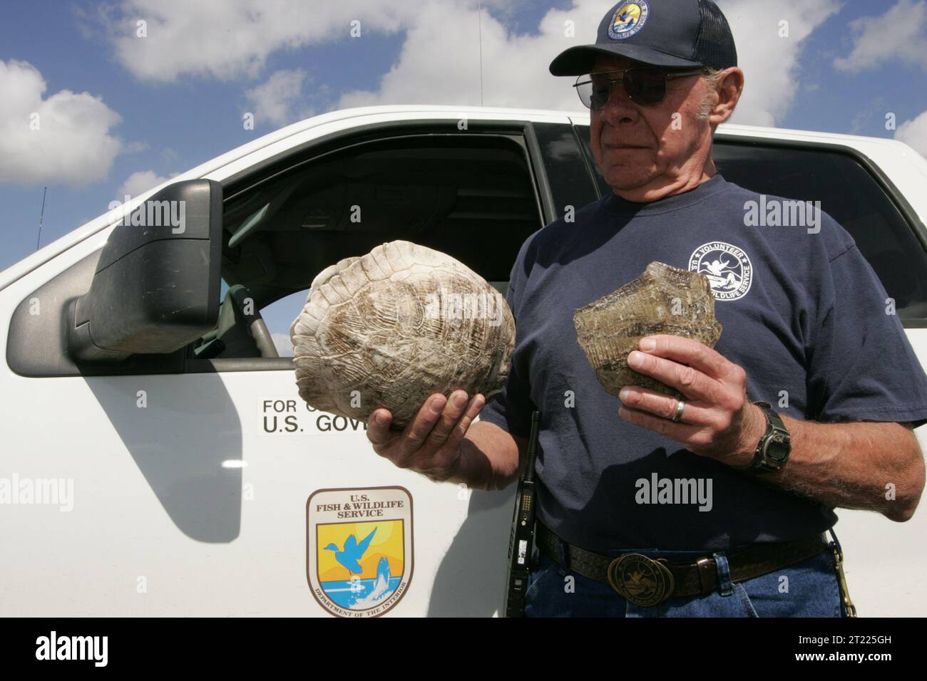 U.S. Fish and Wildlife Service volunteer holds empty turtle shell ...