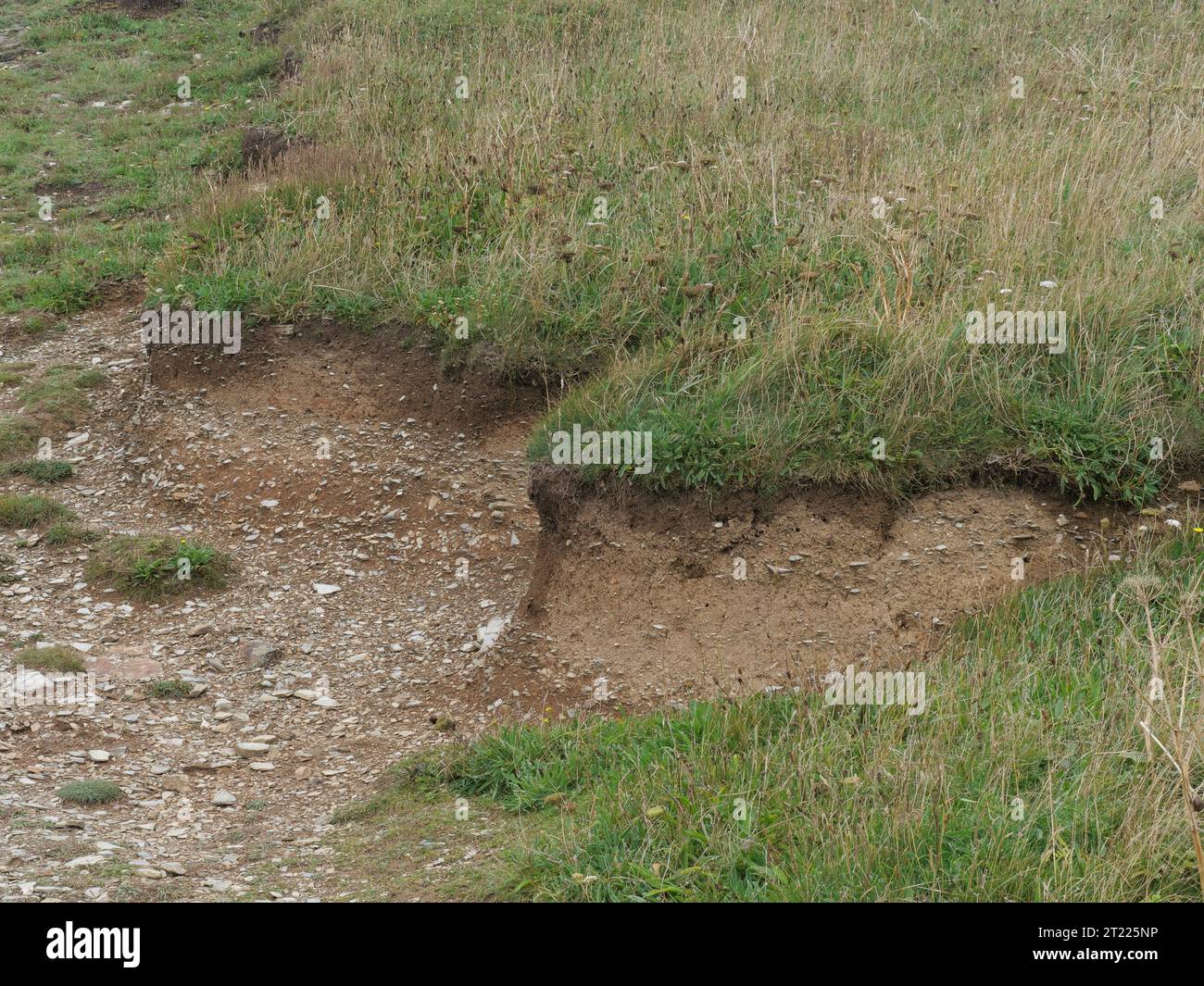Soil erosion on the coast at Bedruthan Steps in Cornwall England Stock ...
