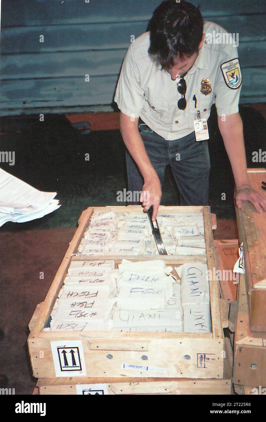 An FWS inspector checks a crate. Subjects: Employees (USFWS). . 1998 ...