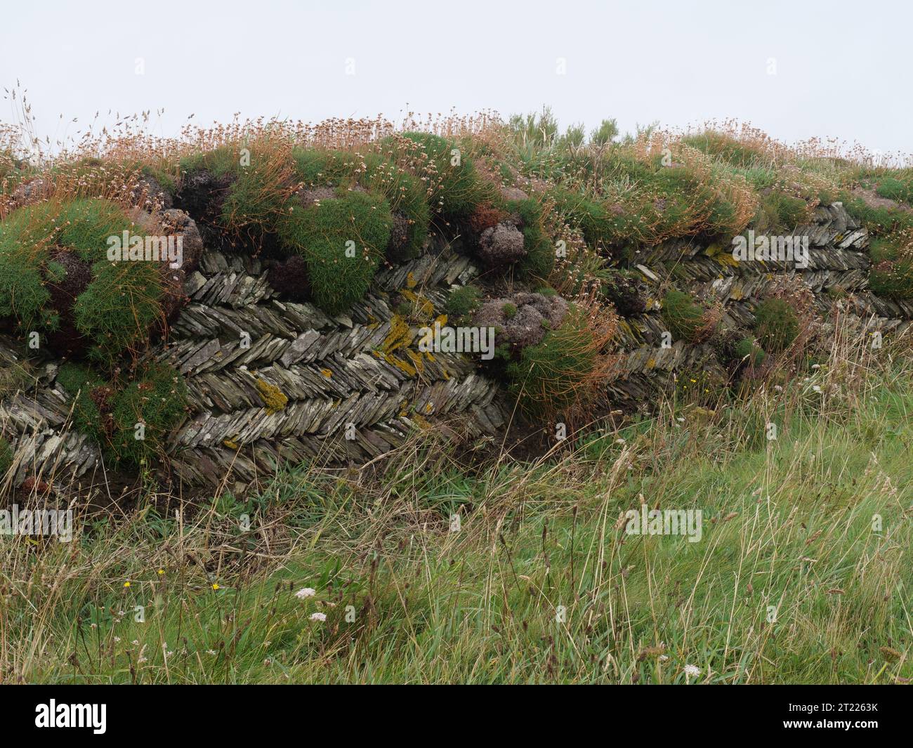 Layered Cornish stone wall at Bedruthan Steps in Cornwall England Stock ...