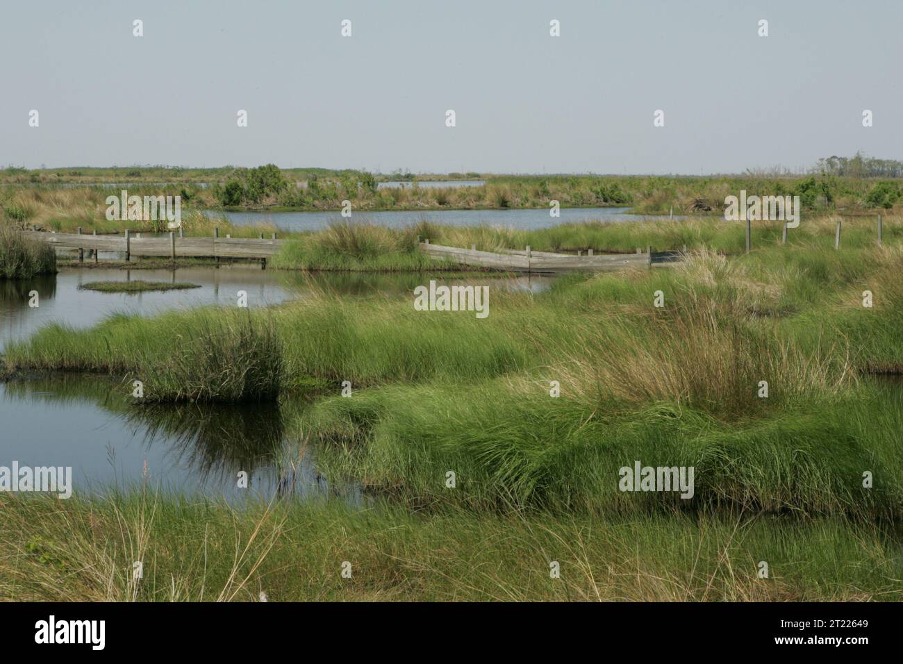 Sediment fence was added to help rebuild the marsh at Bayou Sauvage ...