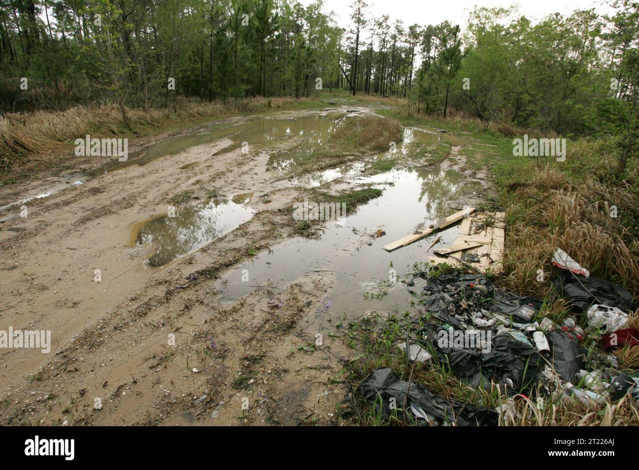 All-terrain vehicle riders caused habitat damage and left debris at ...