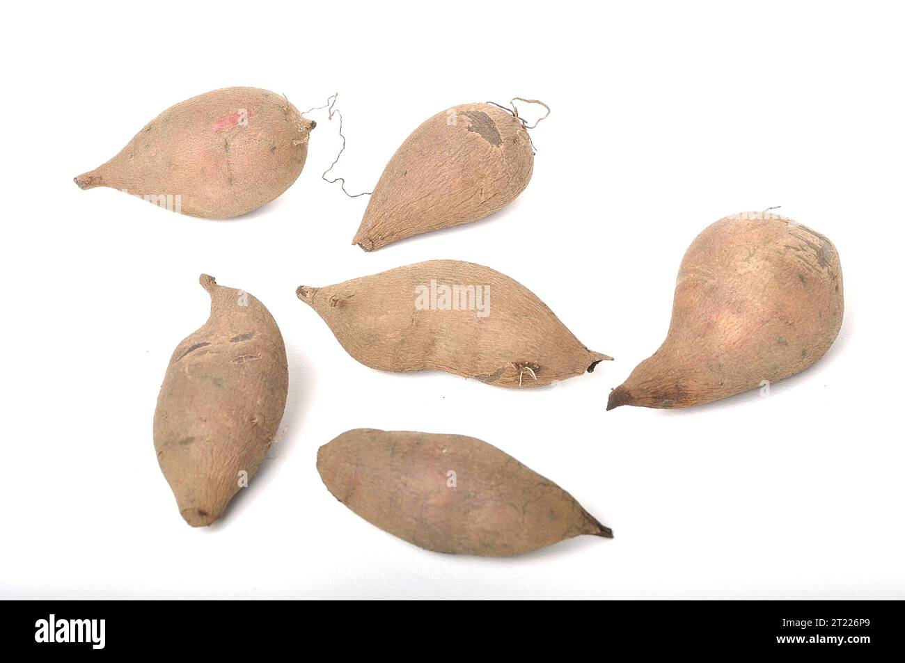 Yacon roots on a white background Stock Photo - Alamy