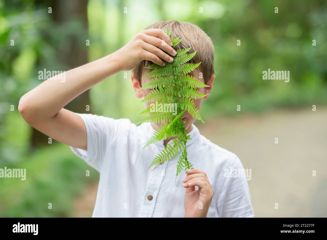 A handsome young boy covered his face with a fern leaf. Child with a ...