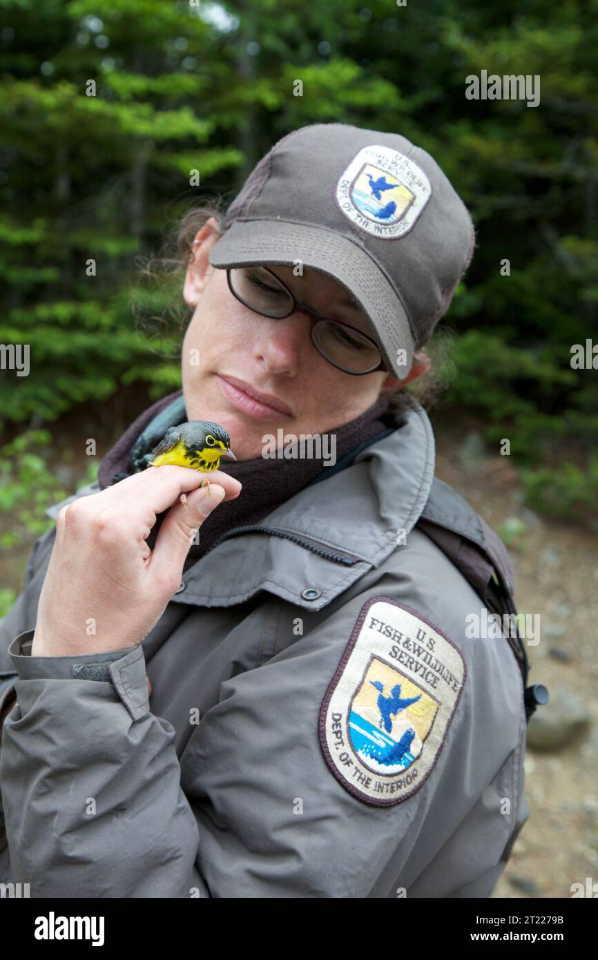 Vermont and birds hi-res stock photography and images - Alamy