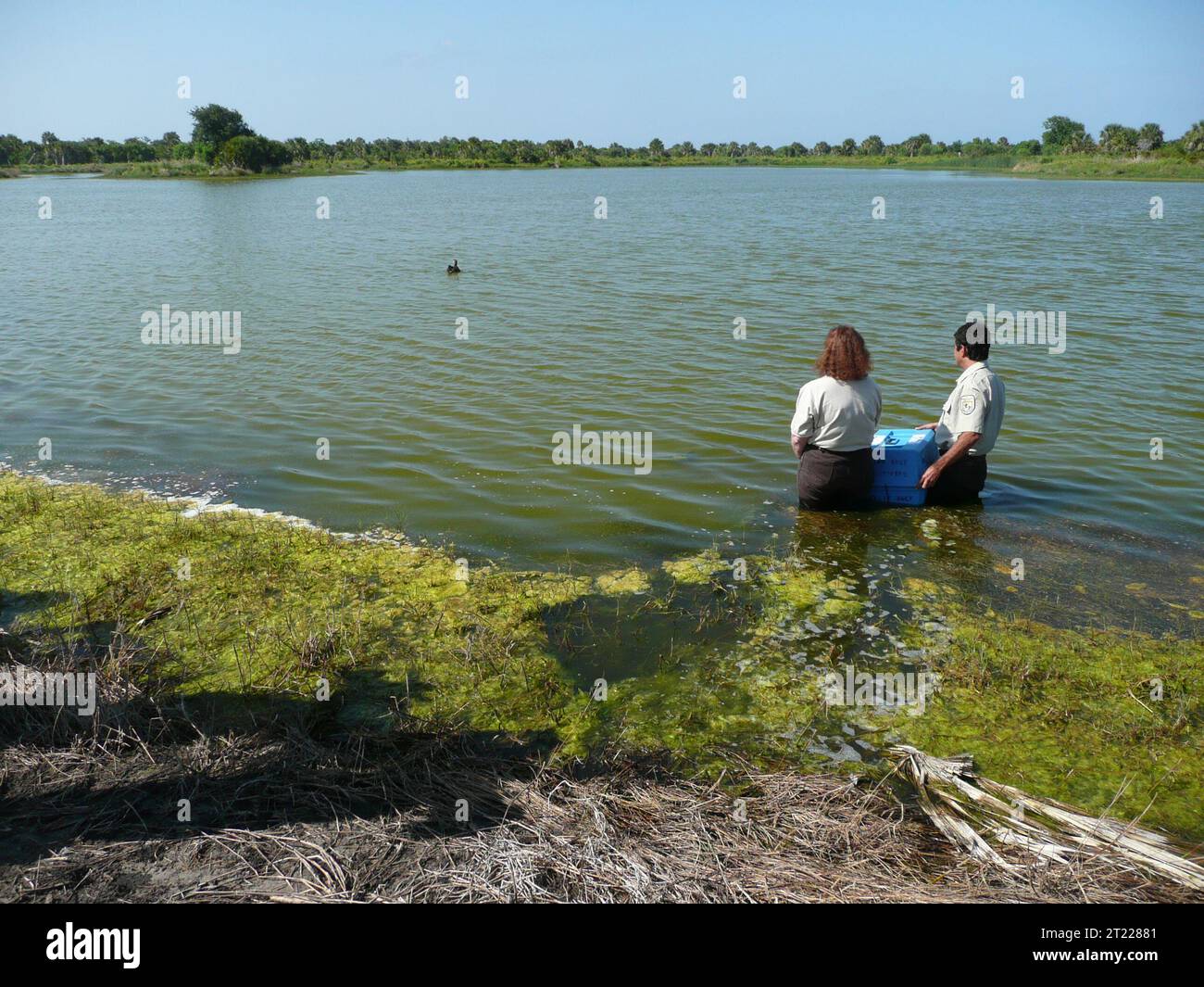 U.S. Fish and Wildlife veterinarian Sharon Taylor and Charlie Pelizza ...