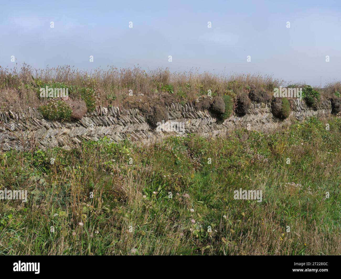 Layered Cornish stone wall at Bedruthan Steps in Cornwall England Stock ...