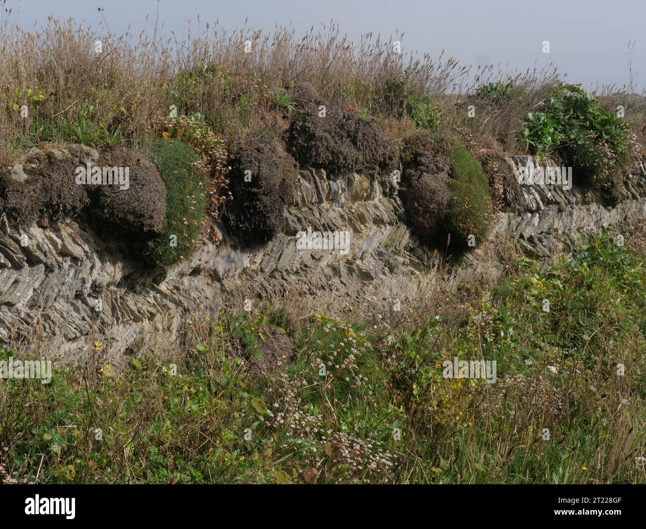 Layered Cornish stone wall at Bedruthan Steps in Cornwall England Stock ...