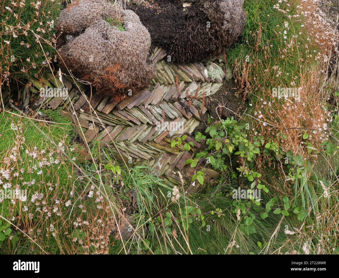 Layered Cornish stone wall at Bedruthan Steps in Cornwall England Stock ...