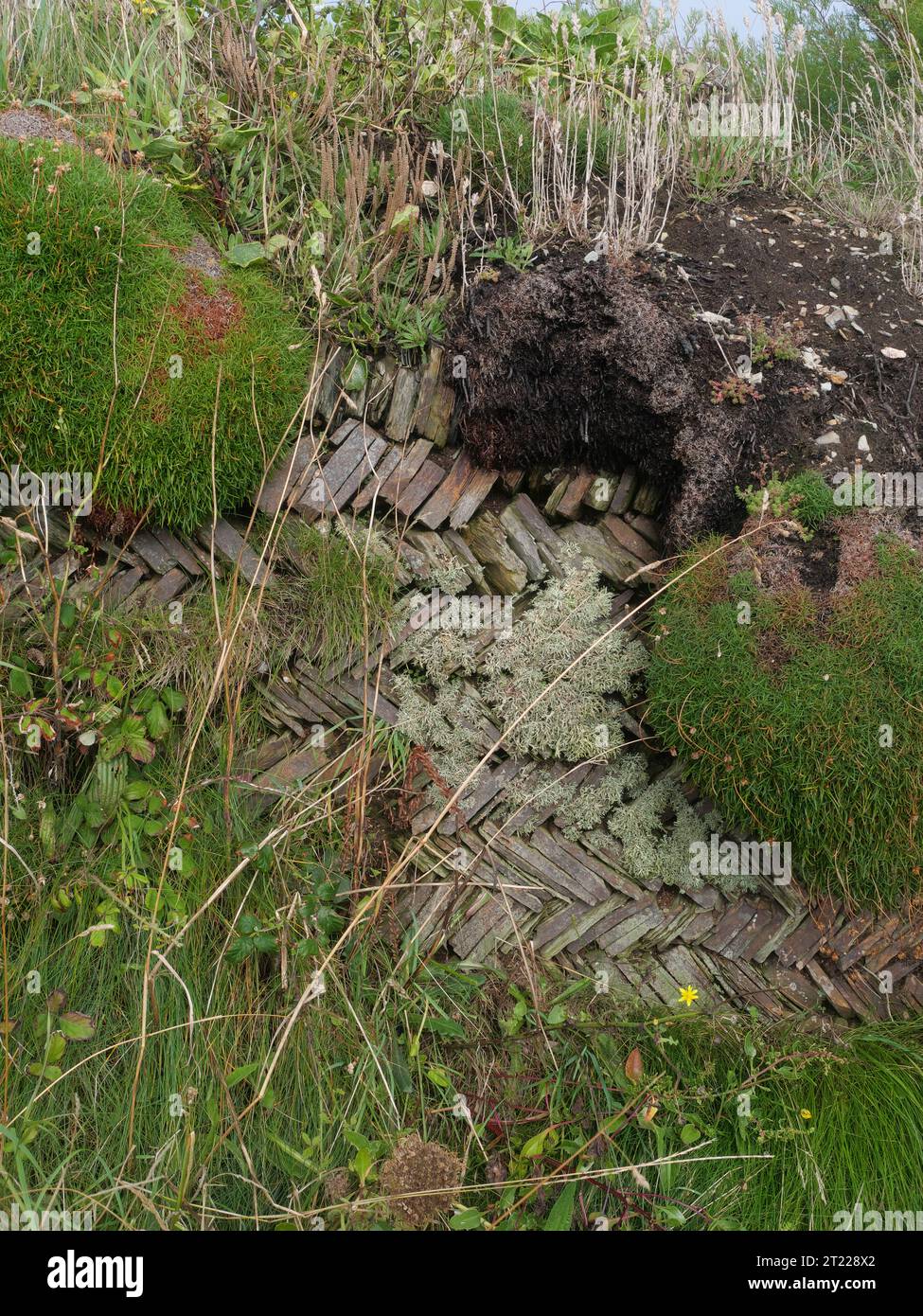 Layered Cornish stone wall at Bedruthan Steps in Cornwall England Stock ...
